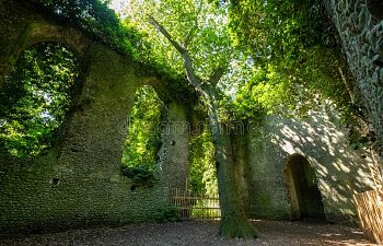 Mythic Scribes Writing Forums